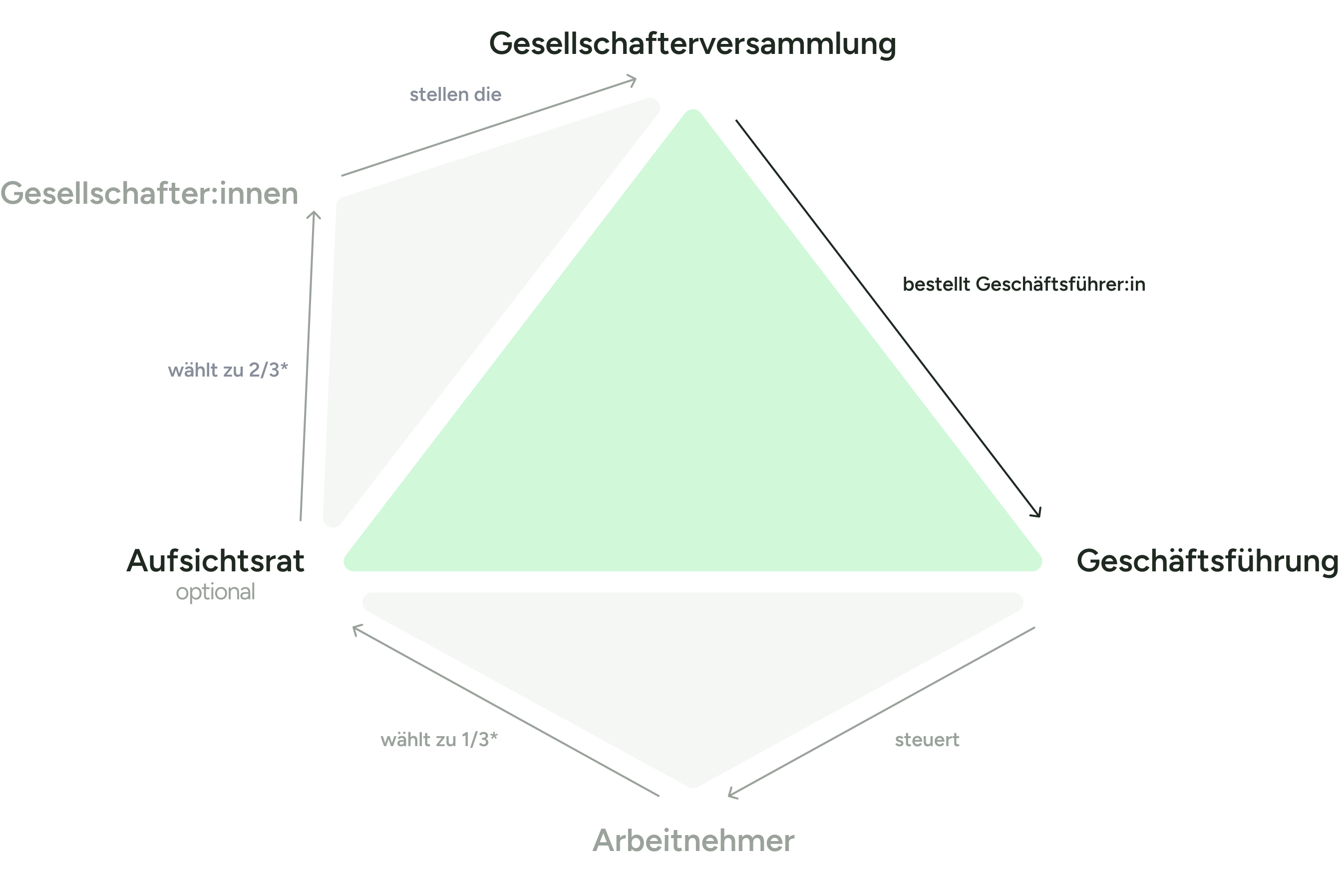 GmbH-Organe erklärt: Funktionen & Pflichten